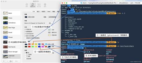 Macos的terminal的zsh颜色主题设置及zsh和bash切换zsh主题 Csdn博客