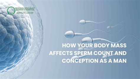 How Your Body Mass Affects Sperm Count And Conception As A Man The Medison Hostpital