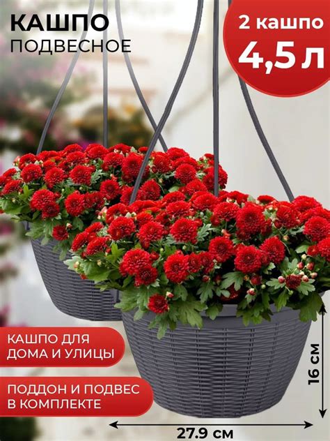Кашпо подвесное для дома и улицы La Decoro горшок для цветов с поддоном и подвесом 2 шт по 4 5
