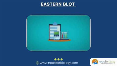 Blast Bioinformatics Definition 5 Types Steps Uses
