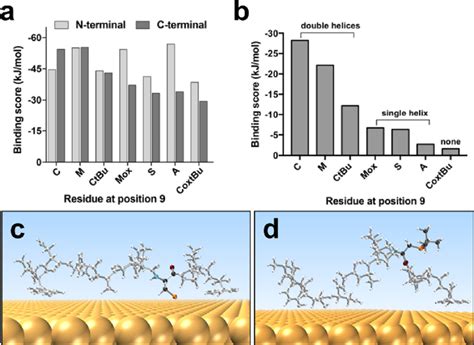 Binding Scores For The Original Pep Au Sequence Residue M At Position