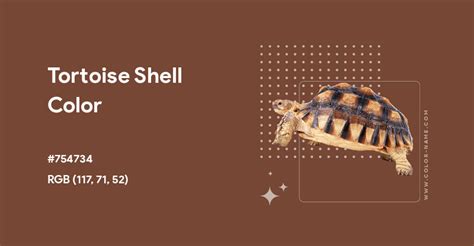 Tortoise Shell Color Hex Code Is 754734 Tortoise Shell Color Hex Code Is 754734