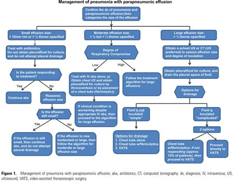 Community Acquired Pneumonia Amboss Rotation Prep