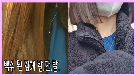 일상 브이로그 백수의 충동적인 칼단발ㅋㅋㅋ Youtube