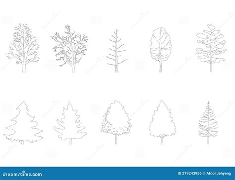 Tree Line Drawing Side View Graphics Trees Elements Single Object Outline Minimal Plant Symbol
