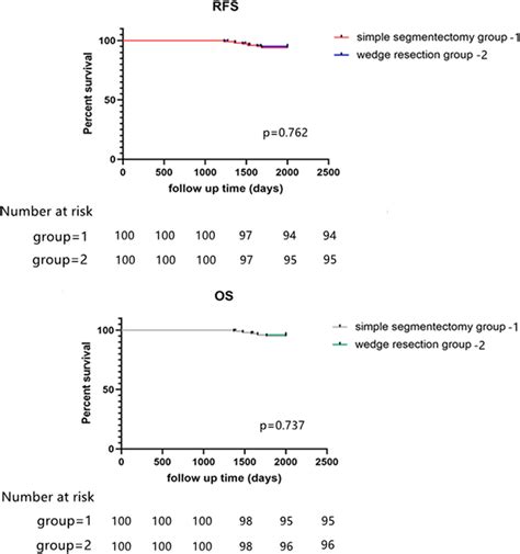 The 5 Year Rfs And Os In Simple Segmentectomy Group Was 94 And 95 And Download Scientific