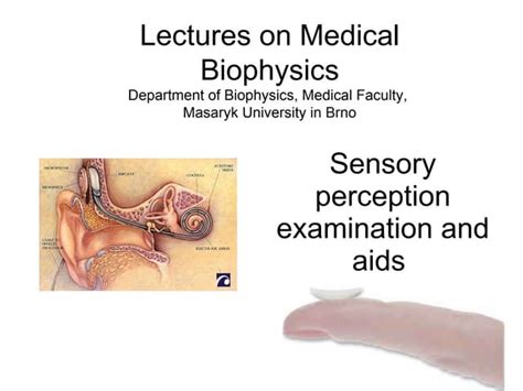 Sensory Perceptionexaminationandaids Fin Ppt