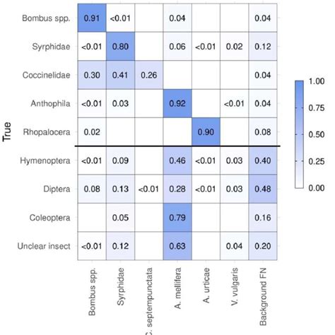 Normalized Confusion Matrix Of Predictions Of The Best Yolov5 Model Download Scientific Diagram
