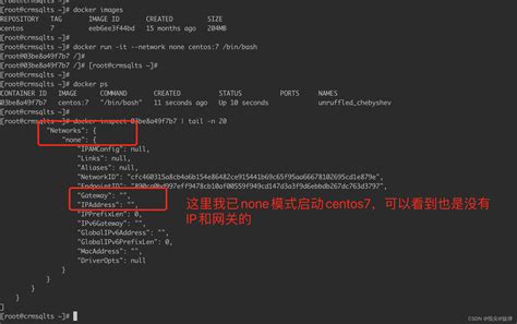 十五、docker 网络 极客之音