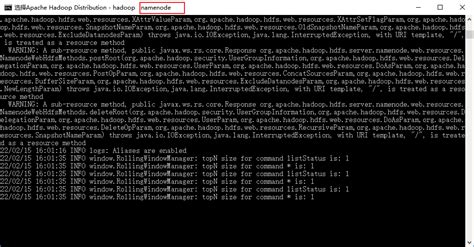 windows下hadoop环境搭建之namenode启动报错 error namenode namenode failed to