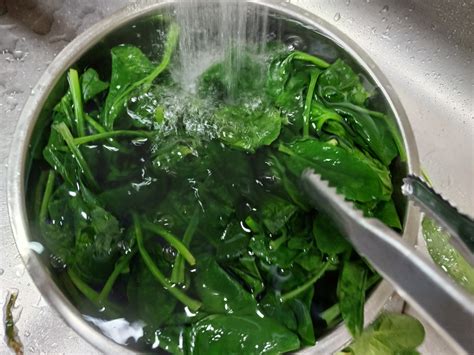 시금치나물무침 하는법 노지시금치무침