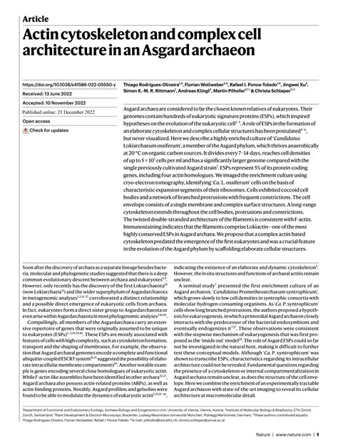 Pdf Actin Cytoskeleton And Complex Cell Architecture In An Asgard Archaeon
