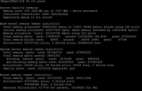 intermittent internet access check point checkmates