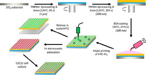Fabrication Scheme Of Freestanding Inkjet Patterned Nanofilm Film Download Scientific Diagram