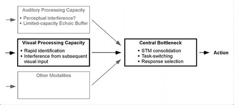 3 Model Of The Structure Of Information Processing To Explain Download Scientific Diagram