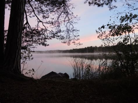 The Building Coder Revit 20191 Cefsharp Forge Accelerator In Rome