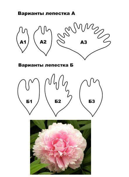 Выкройки цветов Цветы из бумажных салфеток Бумажная роза Шёлковые цветы