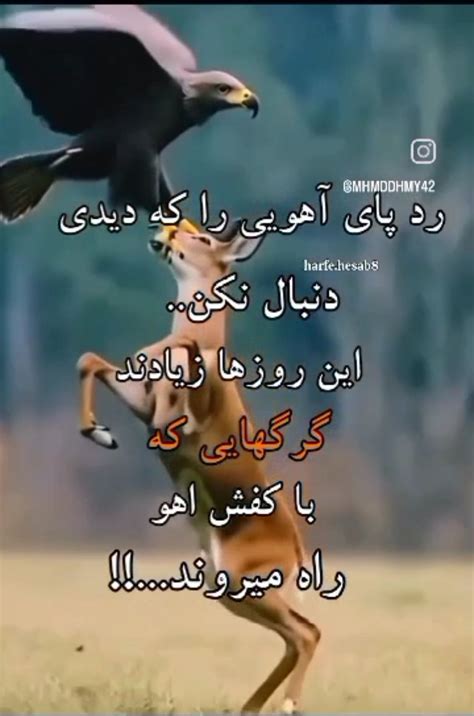 ‎مجتبی موسوی زاده‎ Added A New Photo مجتبی موسوی زاده