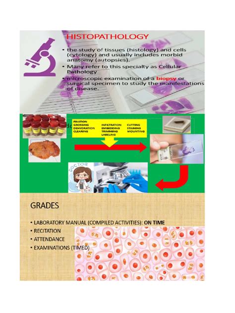 Histopath Introduction Pdf