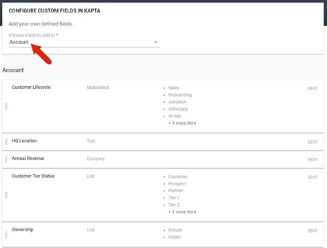 Custom Fields Settings Kapta Help Center