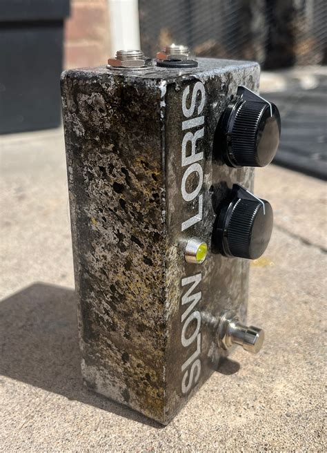 Slow Loris Dynamically Modulated Slapback Non Human Audio