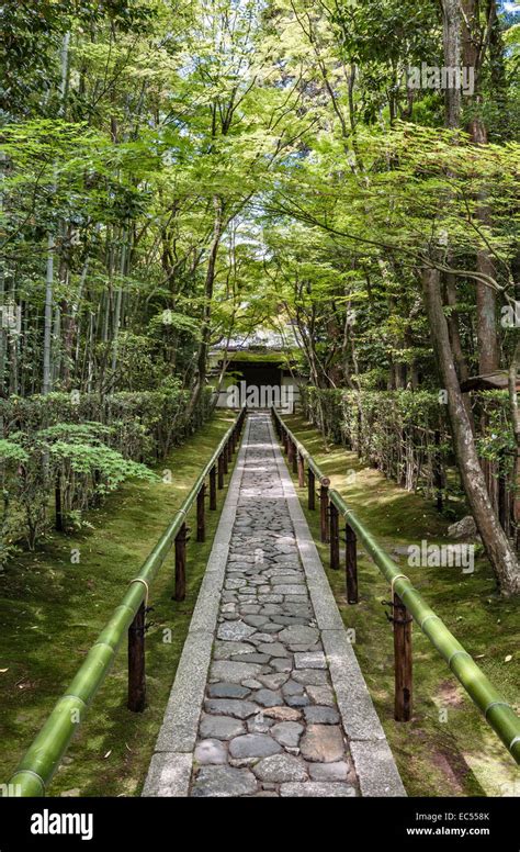 Koto In Zen Temple Daitoku Ji Kyoto Japan In Spring The Paved