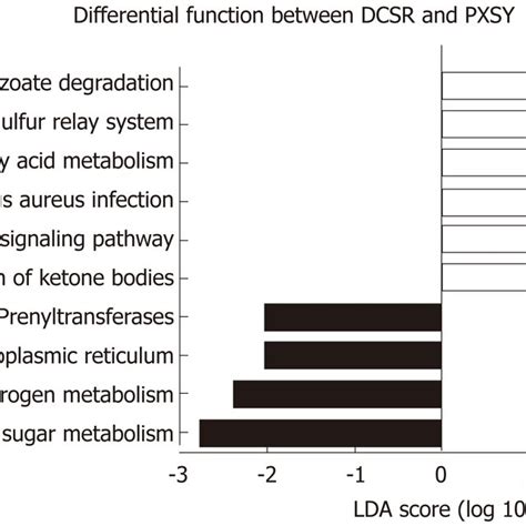 Functional Pathways Of Gut Microbiomes In The Pi Xu Shi Yun And Download Scientific Diagram