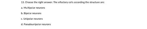 13 Choose The Right Answer The Olfactory Cells According The Structure