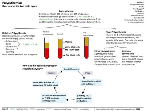 Polycythemia Overview Calgary Guide