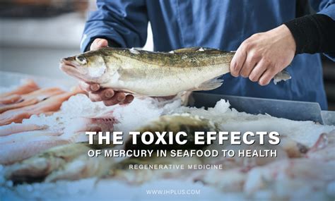 The Toxic Effects Of Mercury In Seafood On Health Intellihealth Plus Rejuvenation Clinic