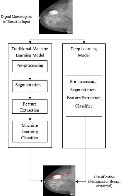Figure 1 From Automated Breast Mass Classification System Using Deep Learning And Ensemble