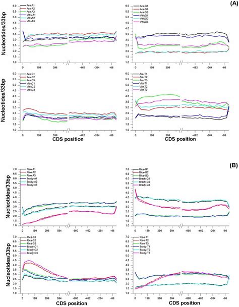 contribution of the three nucleotide codon positions overall first