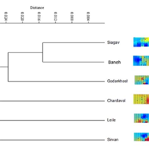 Dendrogram Derived From Cluster Analyses Of Morphometric Variables On