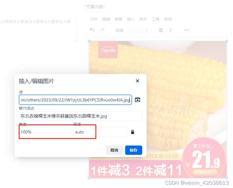 设置tinymce富文本编辑器上传图片后最大宽度为100 并保持图片横纵比 timymce 插入图片宽高 csdn博客