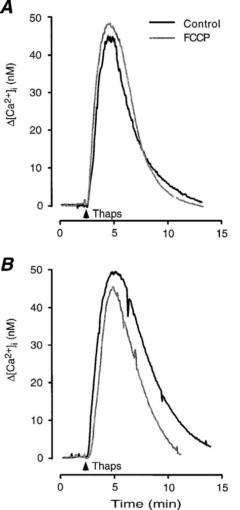 The Inhibition Of Agonist Evoked Ca 2 Signalling Following