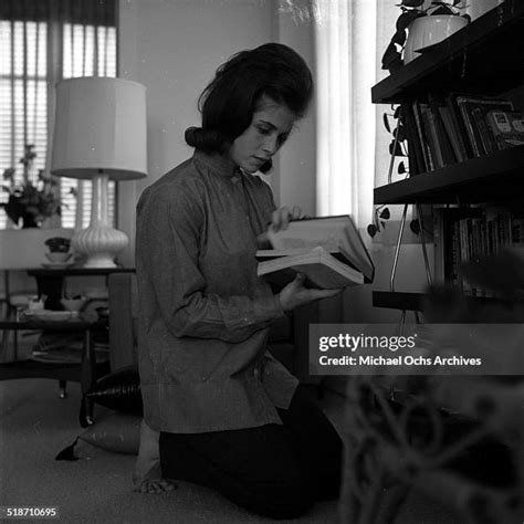 78 Photos Et Images Haute Résolution De Lynn Loring Getty Images