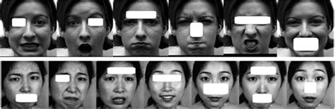 Synthetic Face Part Occlusion Images From Jaffe O And Ck O Dataset Download Scientific Diagram