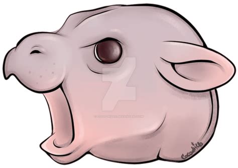 Moo Deng By Coco Drillo On Deviantart