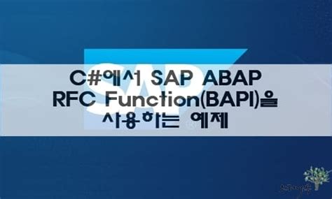 c 에서 sap rfc function bapi function 을 사용하는 방법 예제포함