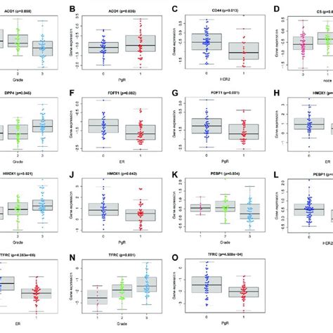Gene Correlation Network And Enrichment Analysis A The Correlation Download Scientific