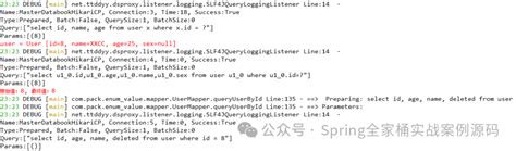 Spring Boot中记录jdbc、jpa及mybatis执行sql及参数的正确姿势 51cto Com