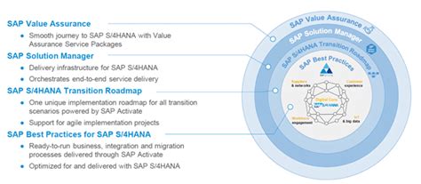 Migration To Sap S 4hana Get To Know Focused Build