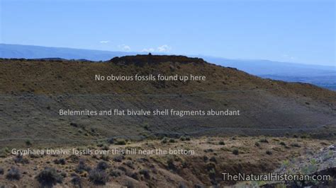 Hiking Through The Jurassic Period In Wyoming A Sheep Mountain Fossil