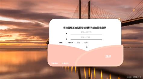 300最不常用的springboot计算机毕业设计题目汇总，总有你需要用到的 基于springboot的毕设 csdn博客