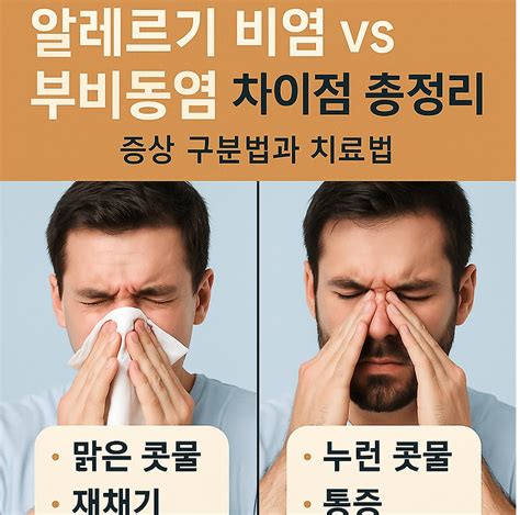알레르기 비염 Vs 부비동염 차이점 총정리｜증상 구분법과 치료법