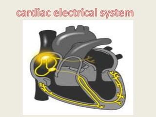 Cardiac Anatomy And Physiology PPT