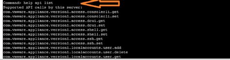 Virtualization The Future How To Execute The Api Commands In Vcsa 60