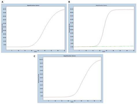 An Example Of A Positive Rt Pcr Vitassay Qpcr Sars Cov 2 Kit Result Download Scientific