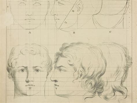 Understanding Proportion In Art A Guiding Line For Artists
