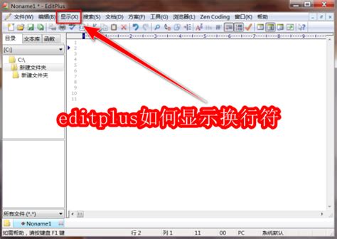 Editplus如何显示换行符 Editplus显示换行符的方法 3dm软件